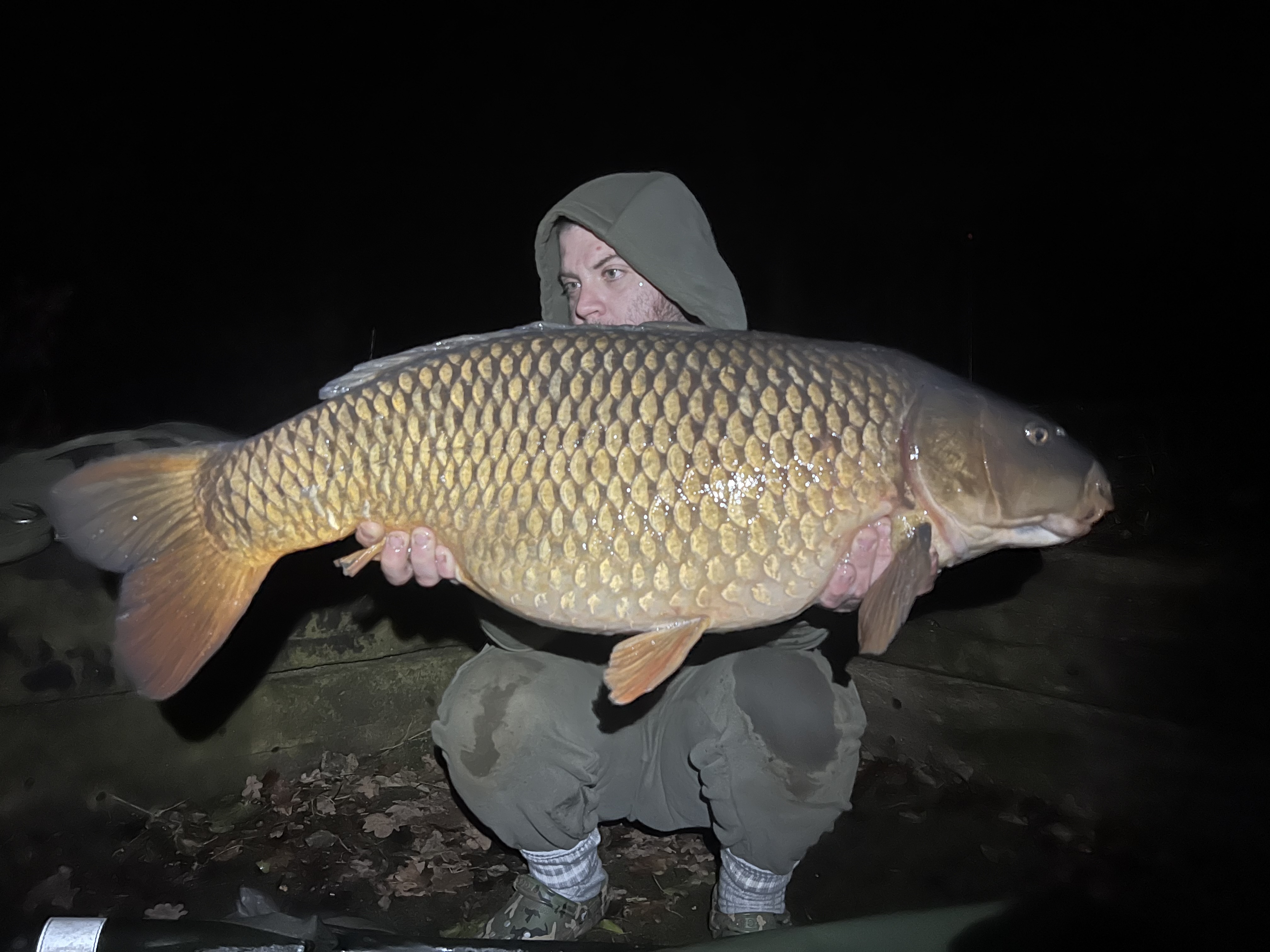 Floppy tail common | Total Carp
